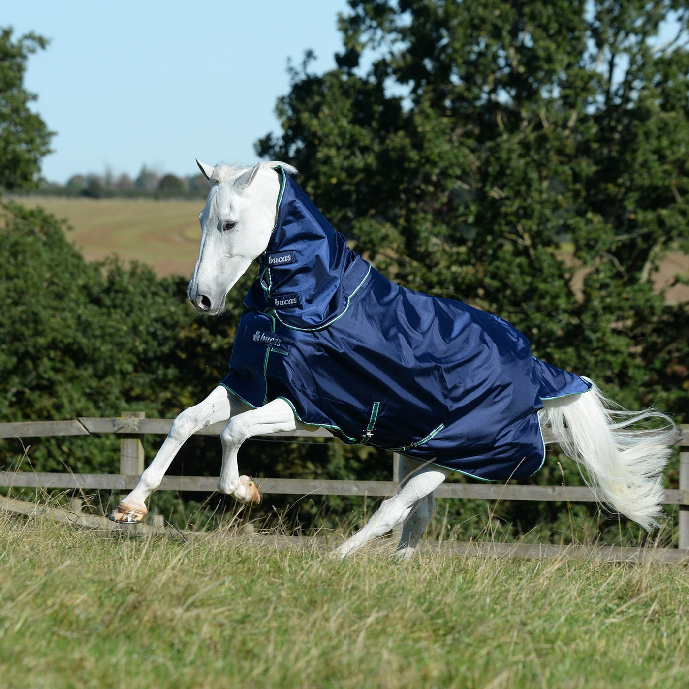 Szyja Smartex Combi 300 Blue S – horze